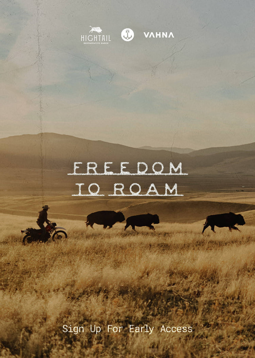 Freedom To Roam: Sign Up For Early Access – Iron & Resin
